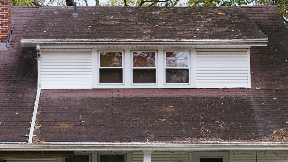 How to Tell If Your Roof Has Storm Damage: A Comprehensive Guide ...